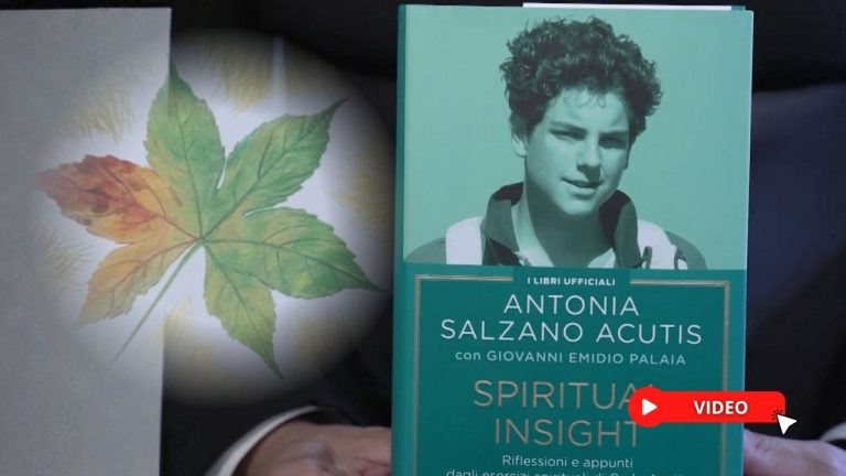 The Unpublished Drawings of Saint Carlo Acutis - EWTN Africa